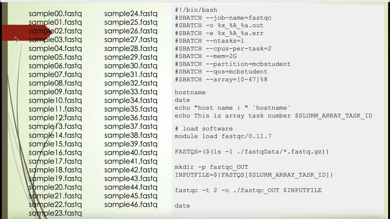 13 Xanadu HPC: Array Job Submission - YouTube