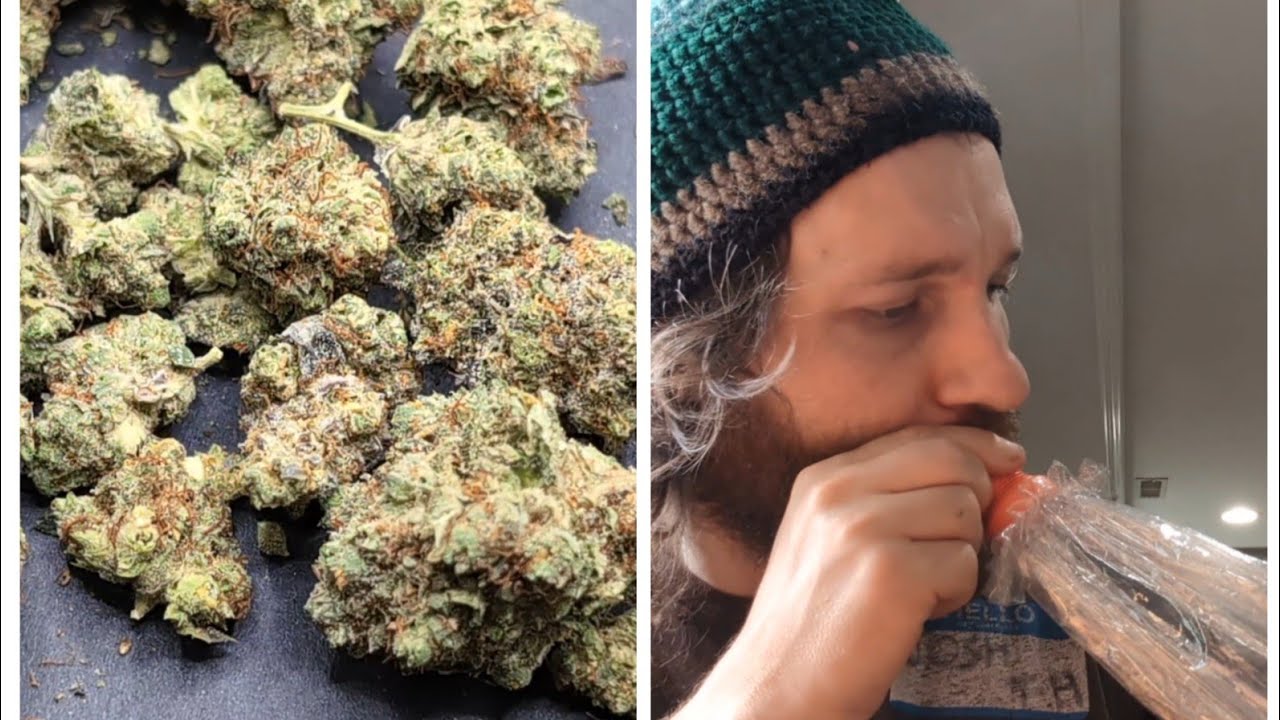 "ghost train Haze" value indoor flower review by thca small buds! Dat ...