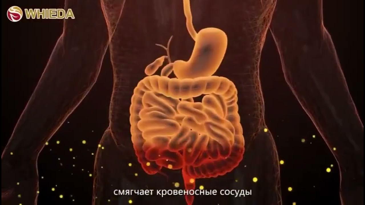 Биоэнергетический массажер и массаж - YouTube