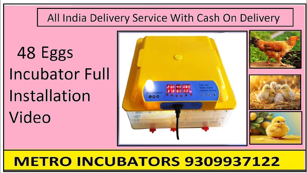 Mini Egg Incubator Fully Automatic ! Incubator Installation video # ...