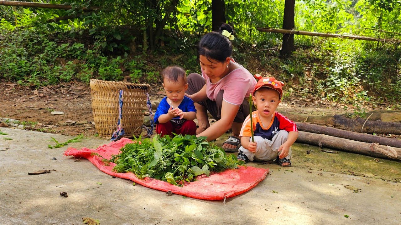 3 mother child went into the forest to pick vegetables to sell to make a living - YouTube