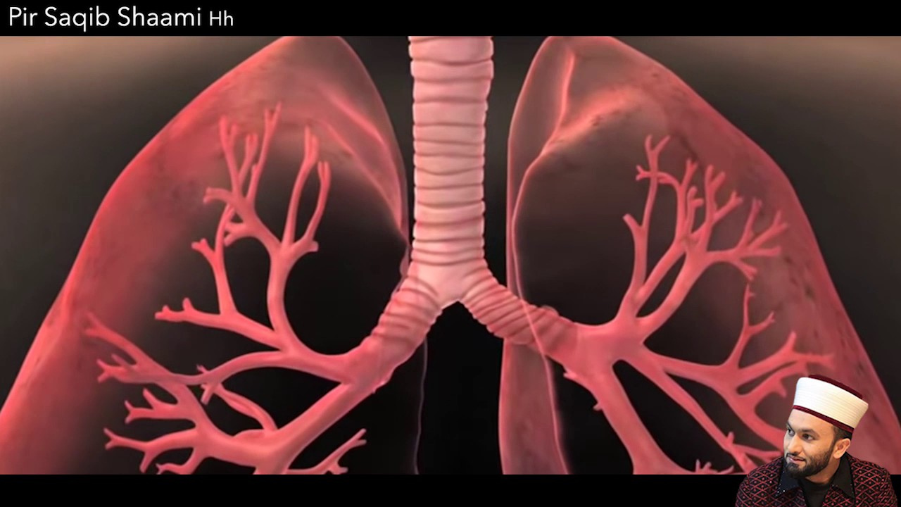 Learn the Medical Benefits of Sajdah (prostration) in 4 minutes - YouTube