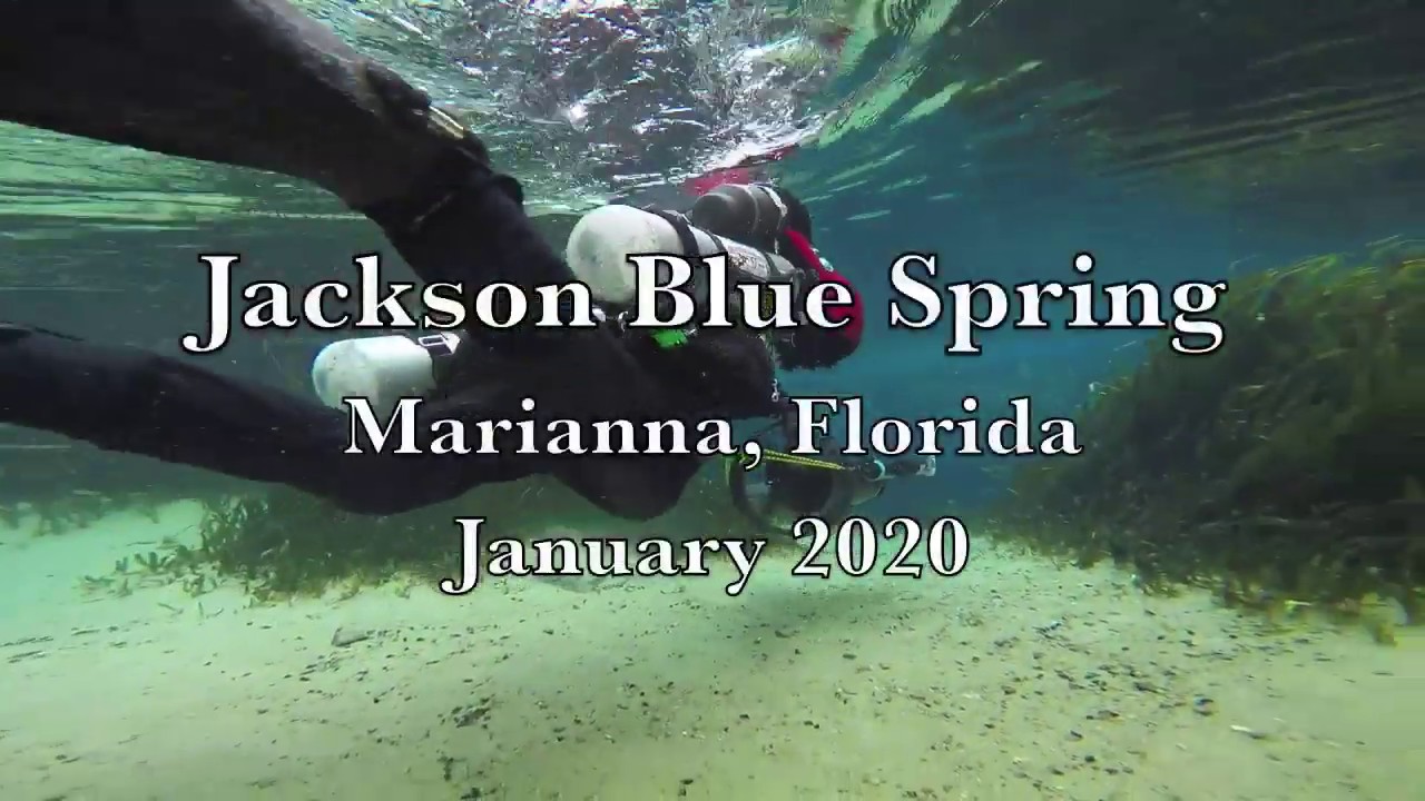 Jackson Blue Spring, Marianna, FL early January 2020 - YouTube