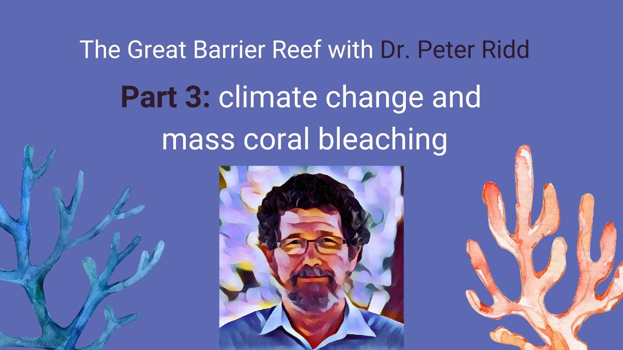 Dr. Peter Ridd & The Great Barrier Reef: climate change and mass coral ...