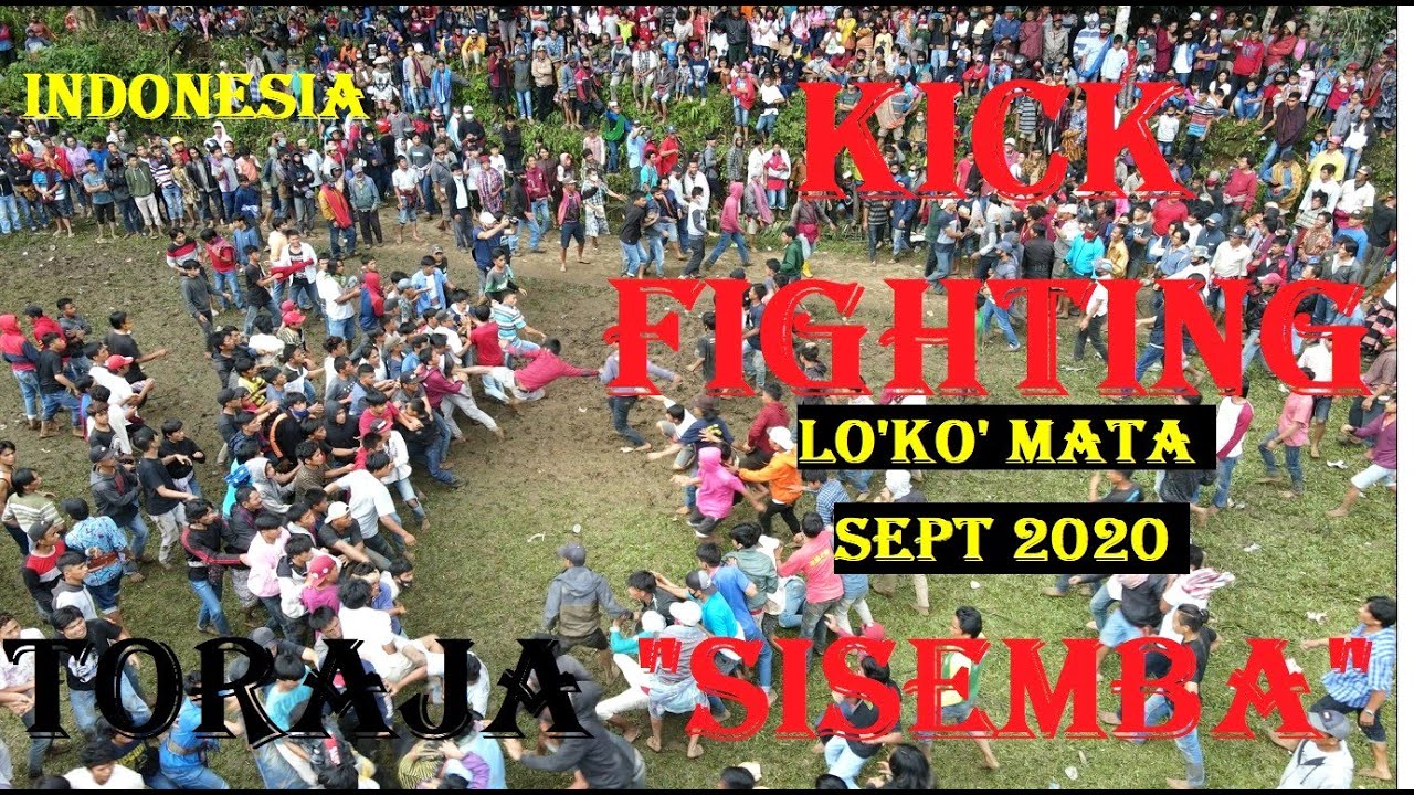 Kick Fighting "Si Semba'" the tradition of Torajan people | Lo'ko' Mata ...