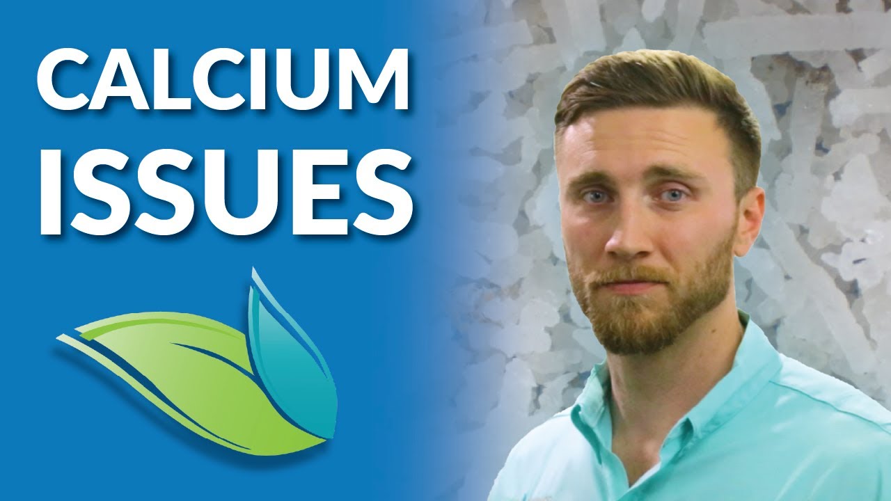 Pool Crystals, Plaster Dust, and other Calcium Issues in Pools | Orenda ...