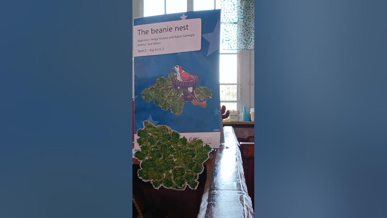 story; The beanie nest - YouTube