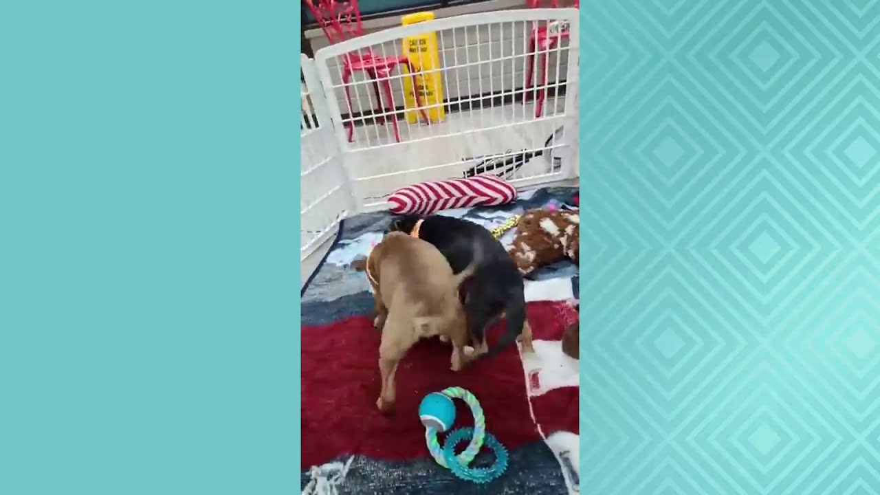 3News partners with Friendship APL in Elyria to bring you Election Day ...