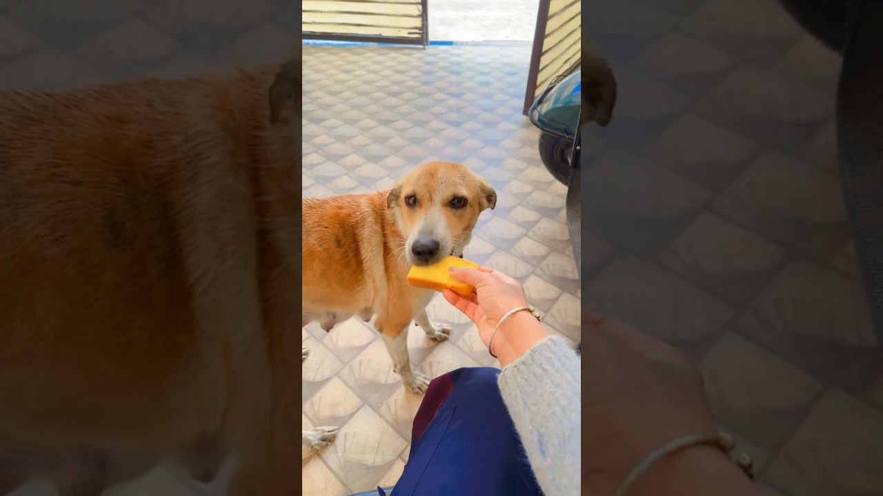 ️ ️ ️ - YouTube