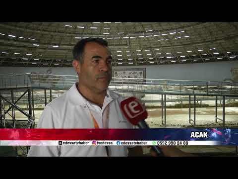 DÜNYANIN İLK ‘NEOLİTİK KONGRESİ’ ŞANLIURFA’DA YAPILACAK