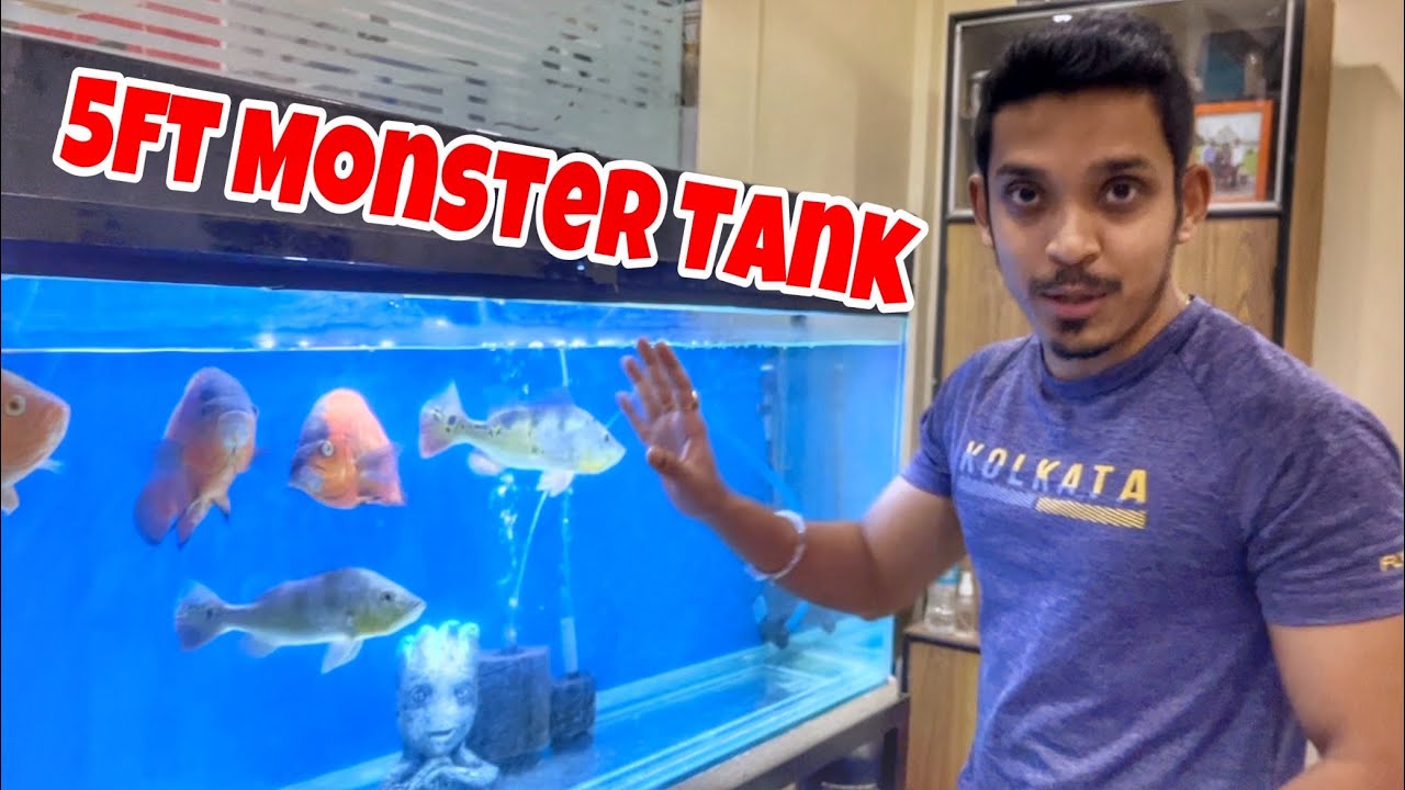My Monster Tank🔥| Monster Fish😍| 5ft Aquarium | Monster Fish Feeding ...