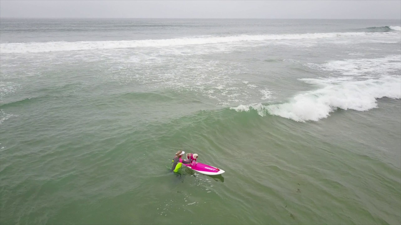 Surf Gidget The Pug In Drone Action - YouTube