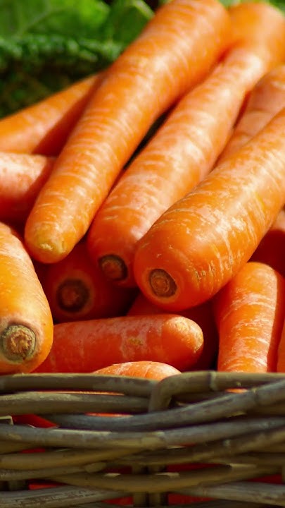 Top 5 Health Benefits of Carrots You Need to Know! (part 2) - YouTube