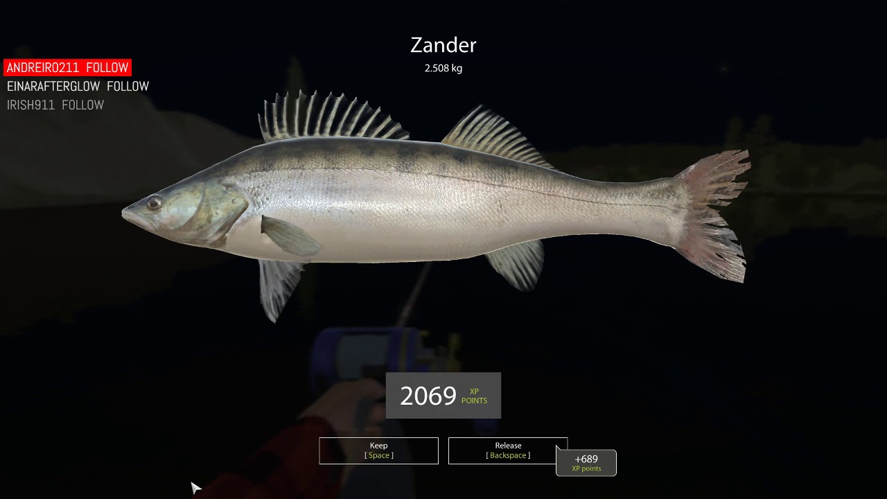 Russian Fishing 4 - Trophy Zander at Sura River with Texas Rig - YouTube