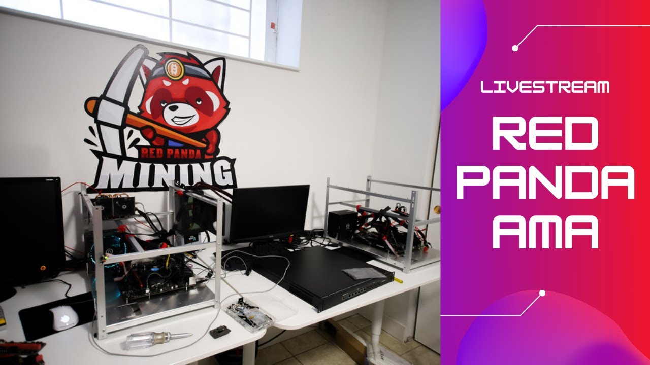 Red Panda Mining AMA #11 - YouTube