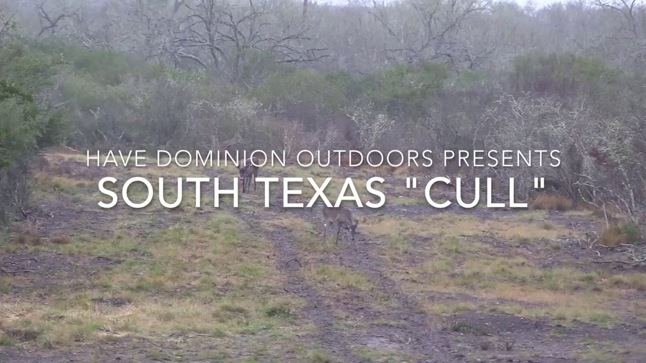 South Texas Cull - YouTube