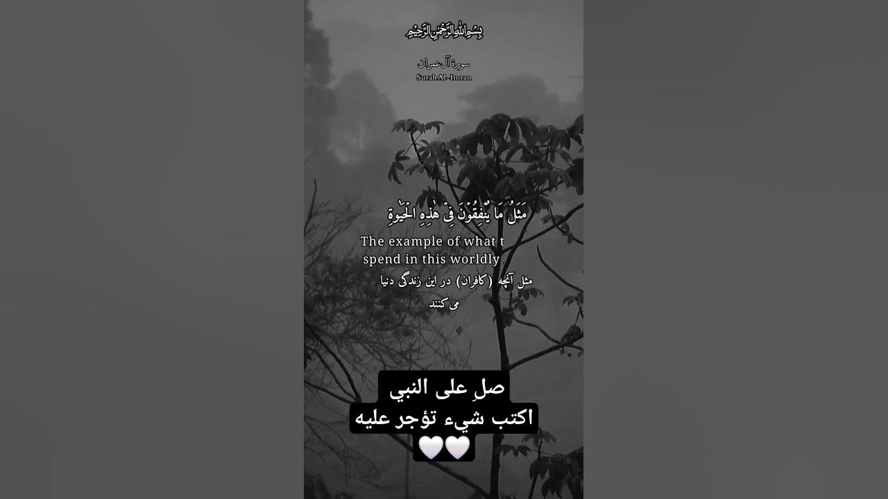 ان الذين كفروا لن تغني عنهم اموالهم ولا اولادهم اكسبلور لايك قرآن