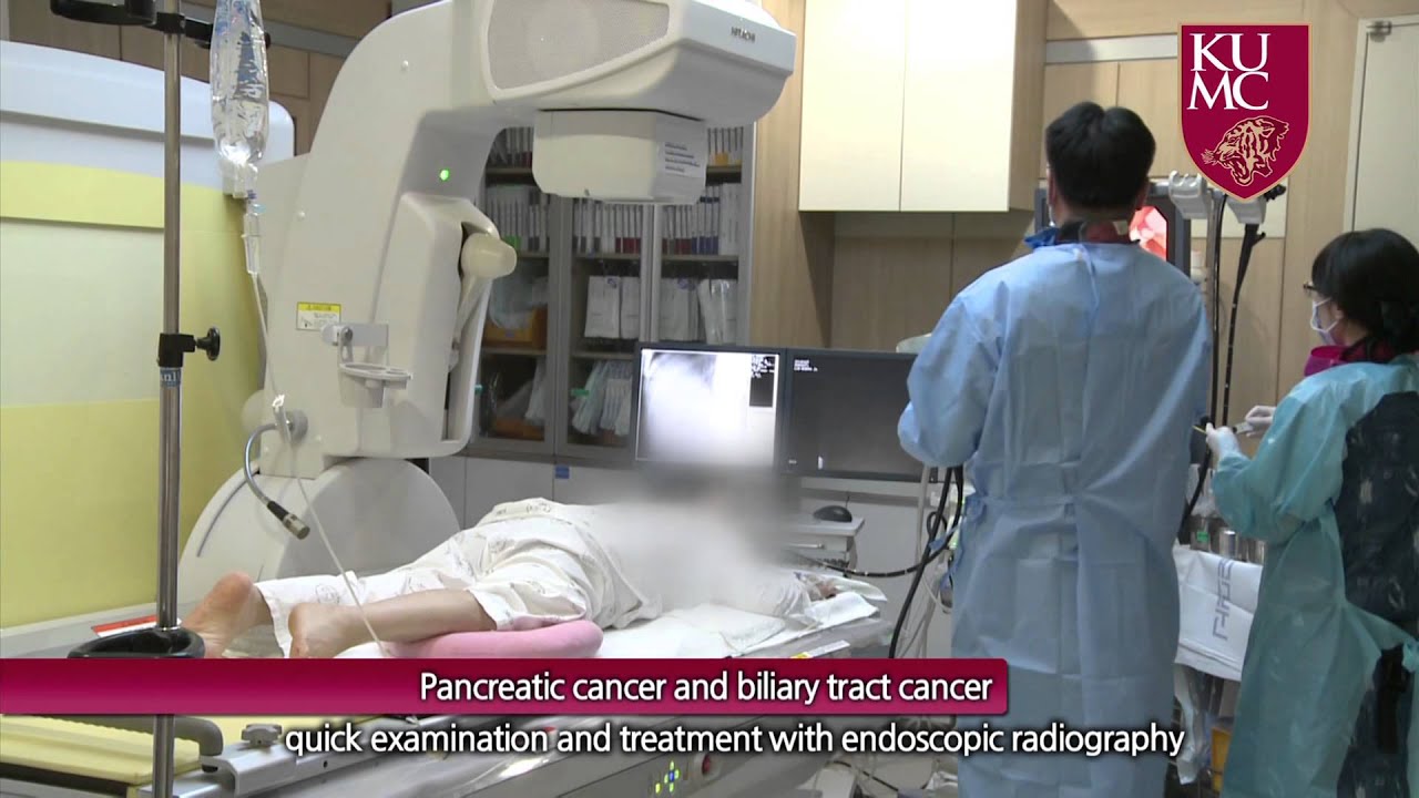 [Health Information] Korea University Ansan Hospital Division of ...