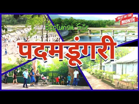 પદમ ડુંગરી કેમ્પસાઈડ | Padamdungari Eco tourism - YouTube