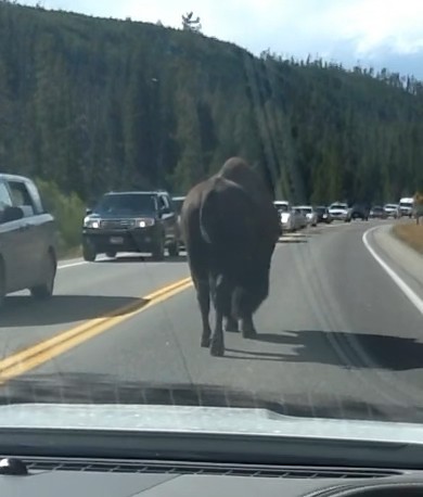 This is bull - YouTube