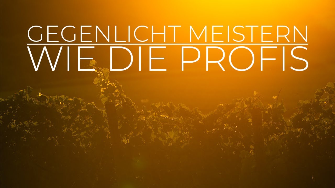 Sommersonne nutzen für interessante Landschafts- und Detailaufnahmen ...