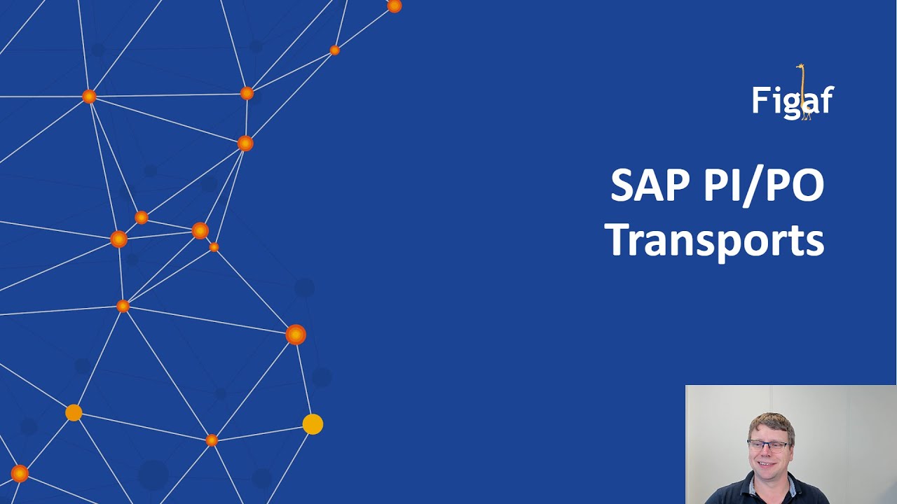 Module 16 SAP PI/PO DevOps transports - YouTube