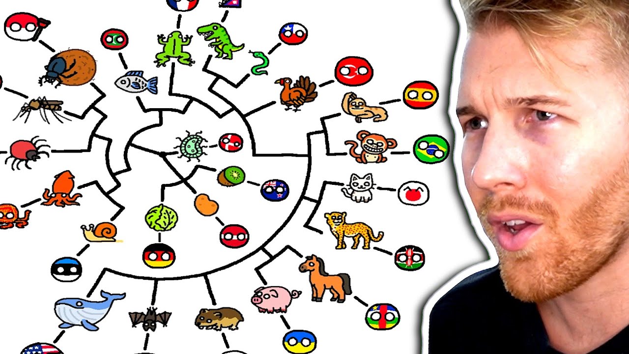 The Origin Story of Countryballs... - YouTube