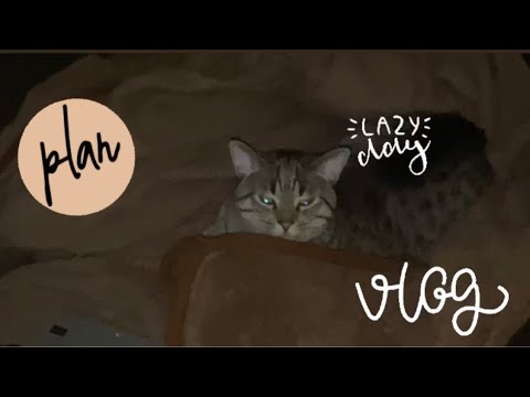 Weirdest Vlog Yet||Vlog 3 - YouTube