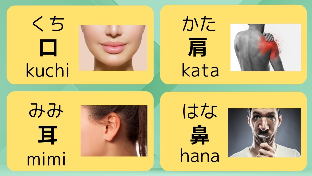 [Japanese vocabulary] Names of body parts 50 words - YouTube