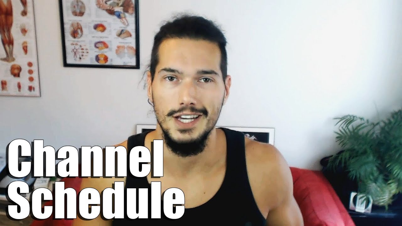 Introduction To Channel Schedule Going Forward YouTube introduction-to-channel-schedule-going-forward-youtube