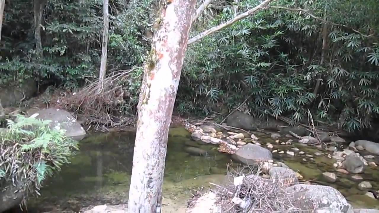 Ulu Chepor River, P1, Chepor, Perak - YouTube