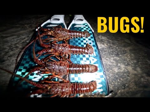 Lobster Opener ( Guns N Glow sticks part 3 ) - YouTube