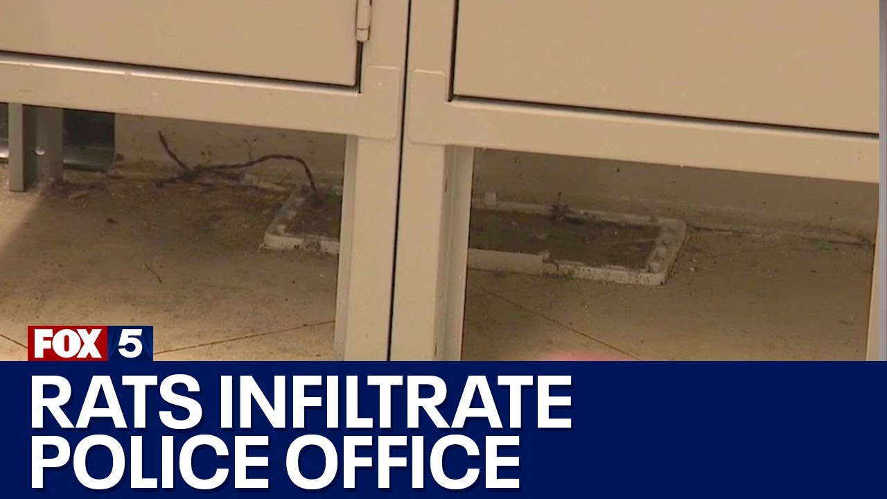 Atlanta airport police complain about precinct's alleged rat ...