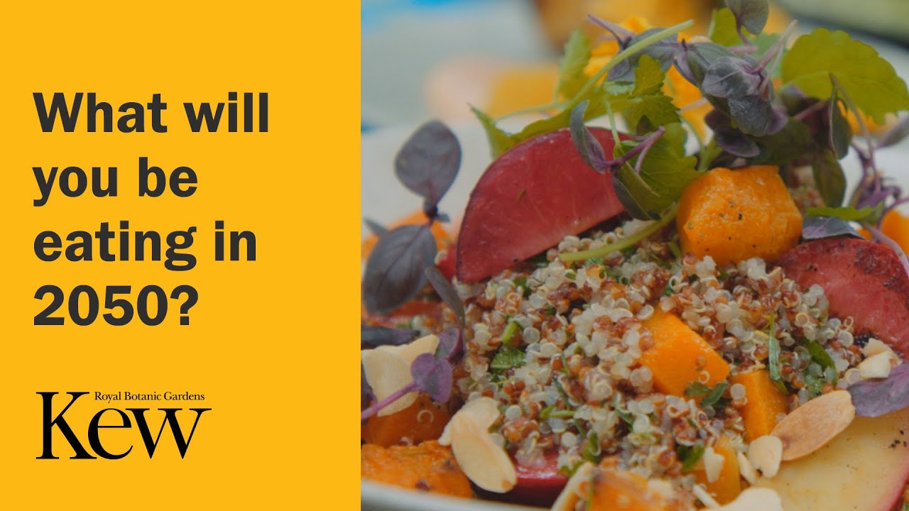 The future of food: What will you be eating in 2050? - YouTube