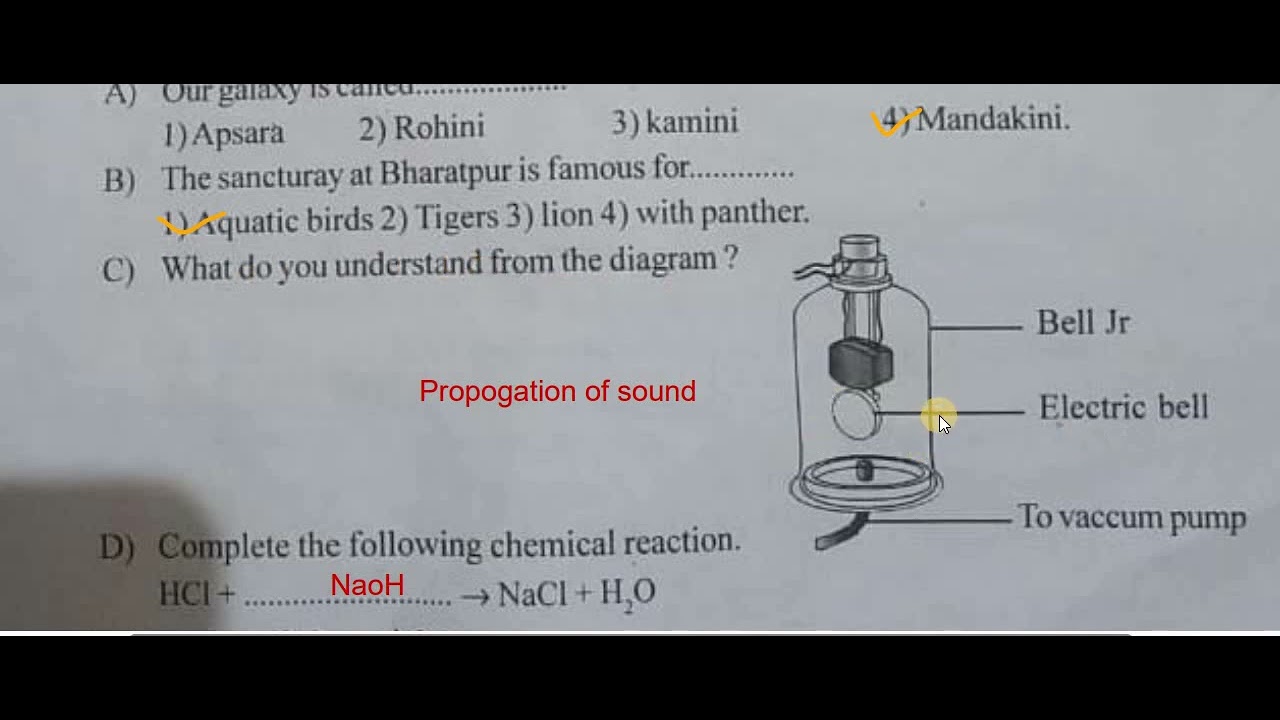 class 8 Science Question paper solved Final - YouTube