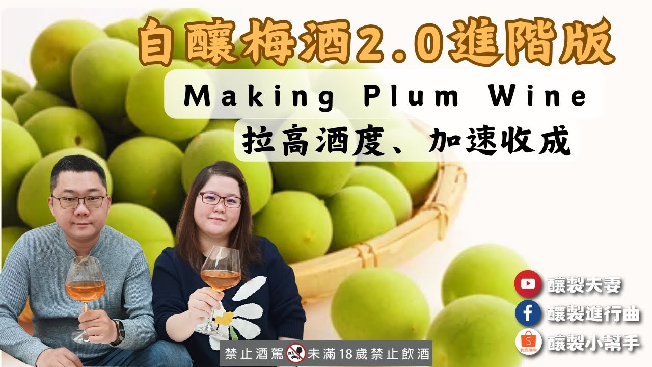 【釀製夫妻】自釀梅酒2.0進階版（上集）拉高酒度 加速收成 Making Plum Wine ｜How to make Plum Wine ...