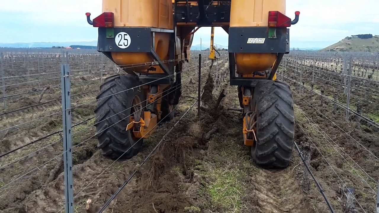 Vineyard removal - YouTube