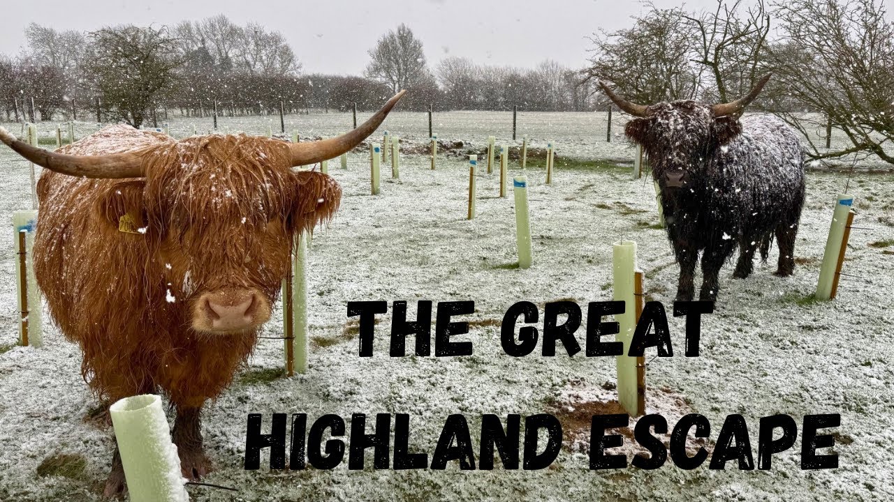 Compost Bays | Snow | Parsley’s Great Adventure | Mud, Mud, (Not So ...