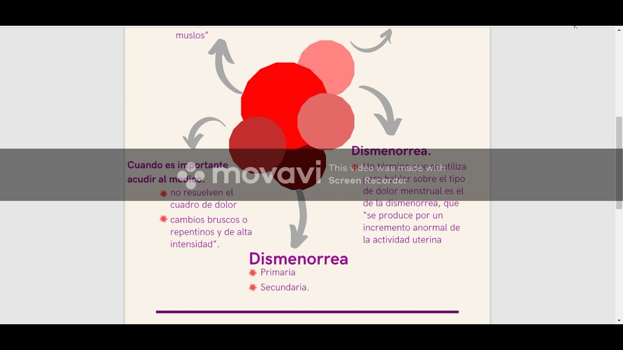 PROYECTO CITLALI YAMILE LUNA PELAEZ 7MO - YouTube