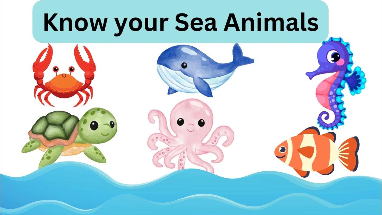 Sea Animals | sea animals for toddlers |Vocabulary | Kids Learning with ...
