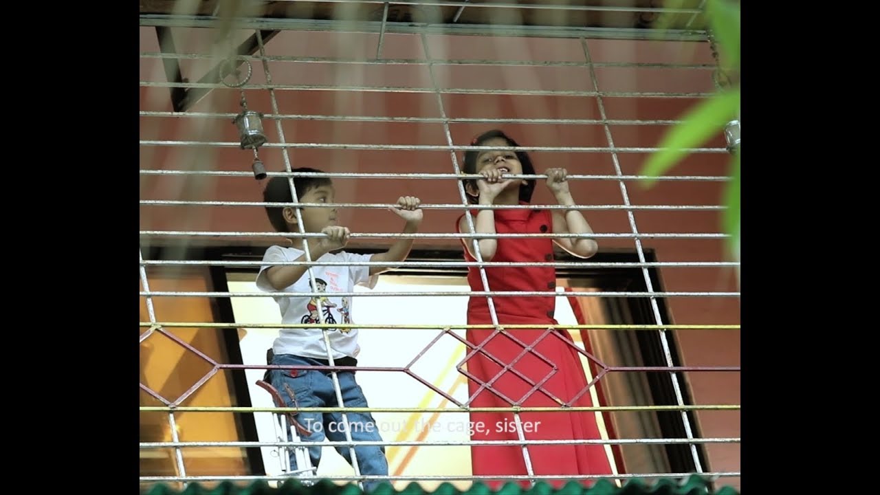 Aazad Parinde - Children Day Special Short Film - Panchshila -Vidisha ...