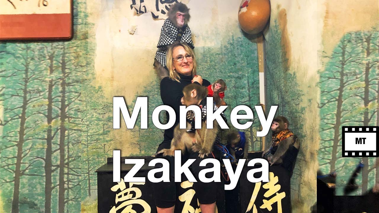 Monkey Bar Japan - Izakaya - Tavern - YouTube