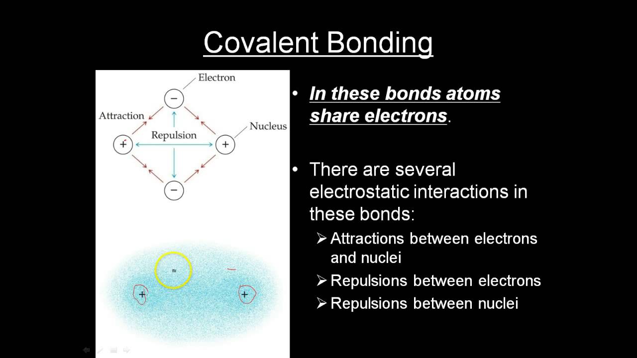 Covalent Bonding Electrostatic Forces - YouTube