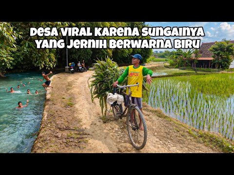 Bukan Di Swiss Tapi Ini Di Desa BRINGIN NGAWI, Sungainya Bening Banget! Bocil Auto Nyemplung 