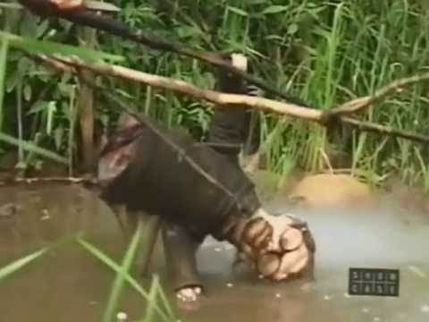 Trailer Park Boys - Conky's rebirth - YouTube