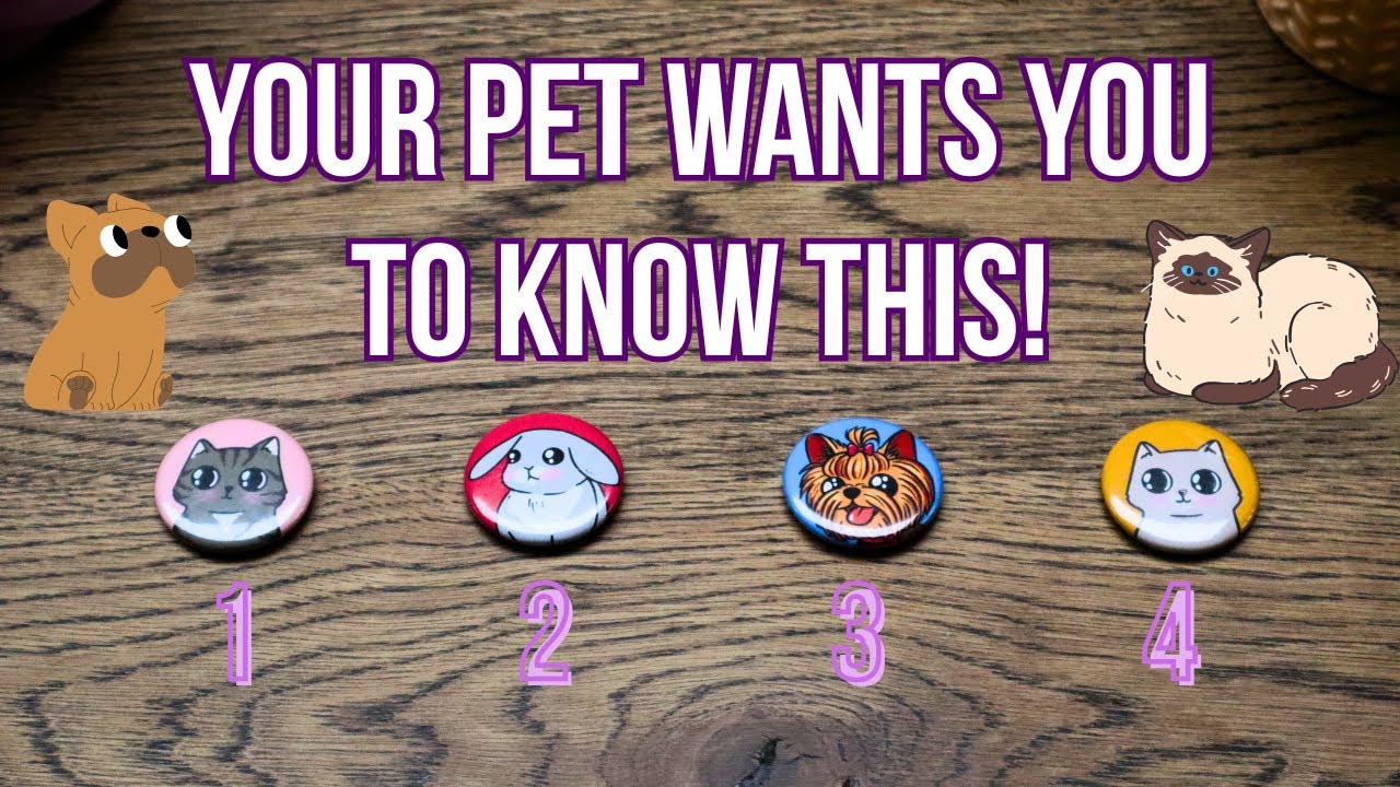 Messages from your pets! ( Cats, Dogs, Horses, Birds etc) 🐾 Pick a Card ...
