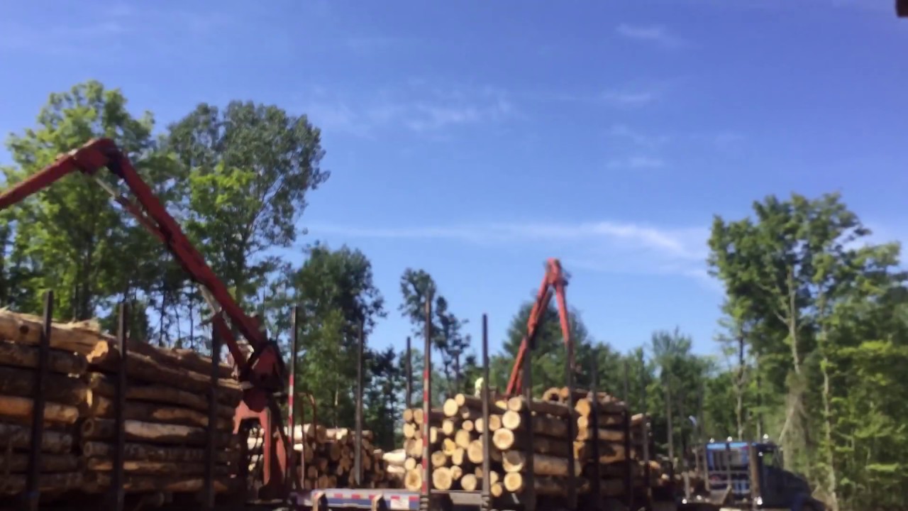 Serco 8000 Log Loader Loading Poplar Pulp - YouTube