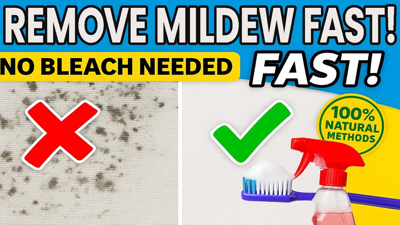 How to Remove Mildew from Fabric – Easy, Natural Solutions That Work ...