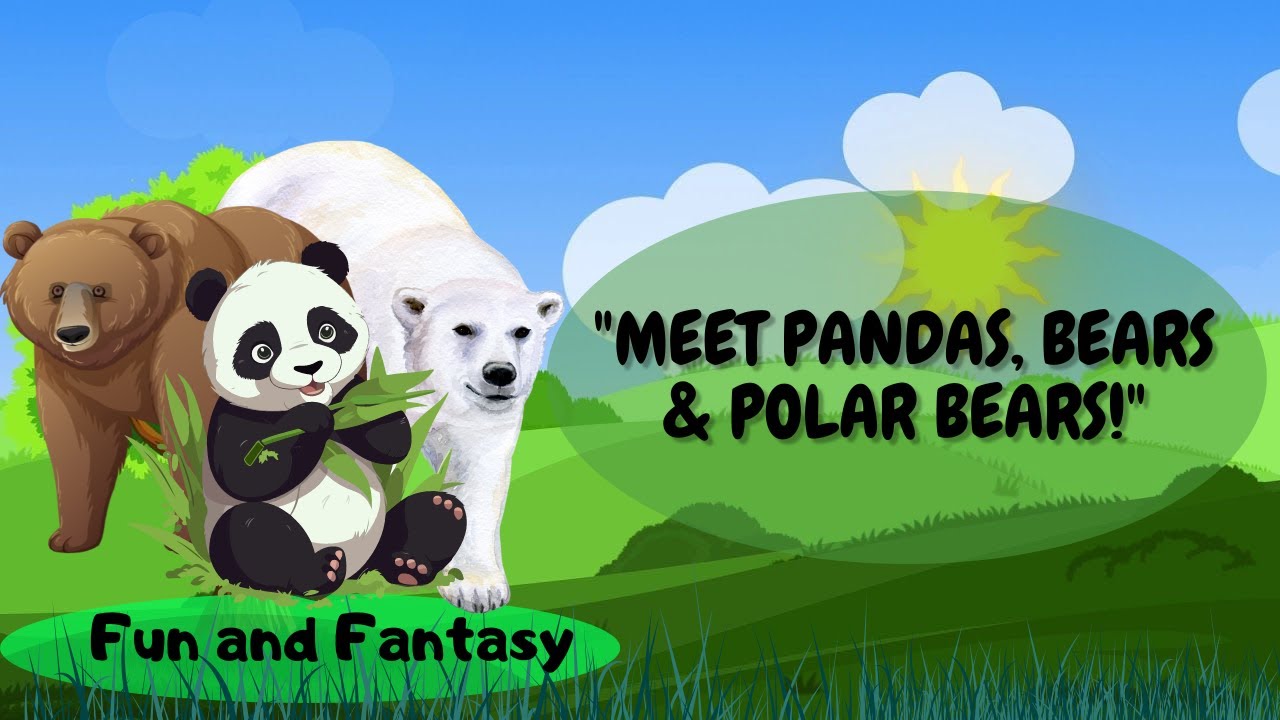 Meet Pandas, Bears & Polar Bears! - YouTube