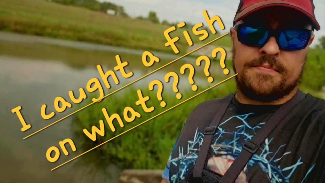 I caught a fish on what? Unbelievable! #spillway #bassfishing #lake ...